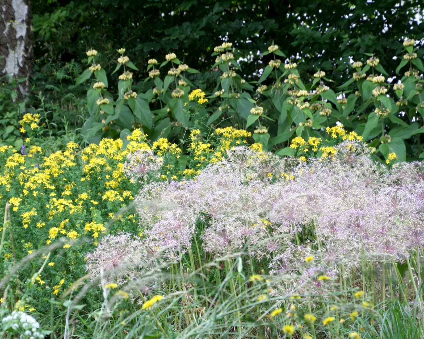 Projekte – Banscherus