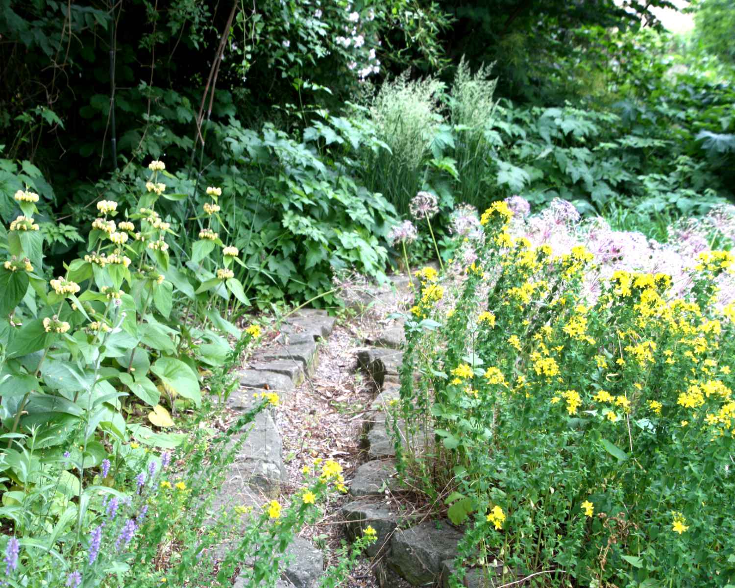 Projekte – Banscherus