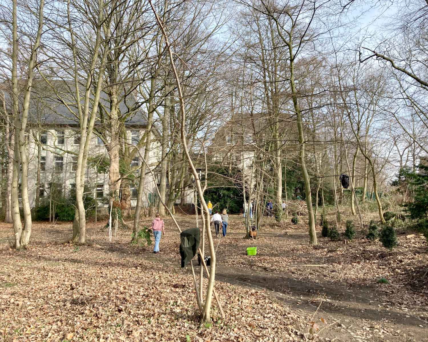 Projekte – Banscherus