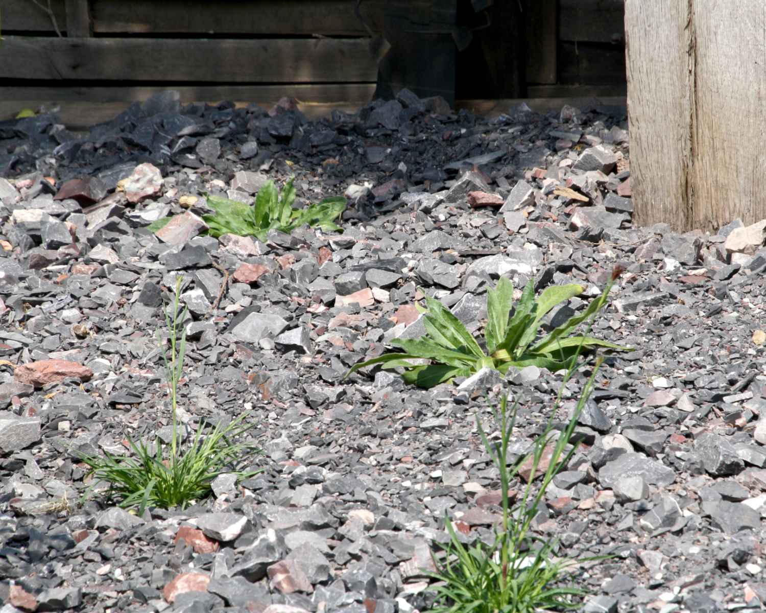 Projekte – Banscherus