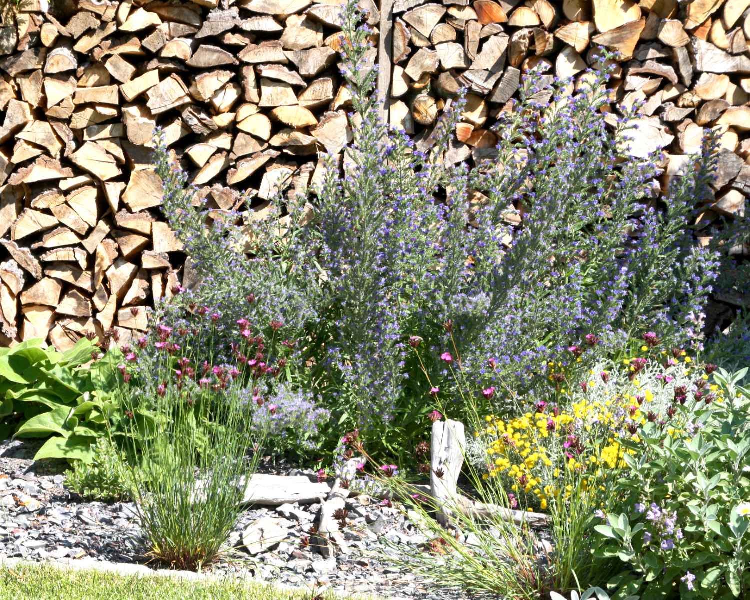 Projekte – Banscherus